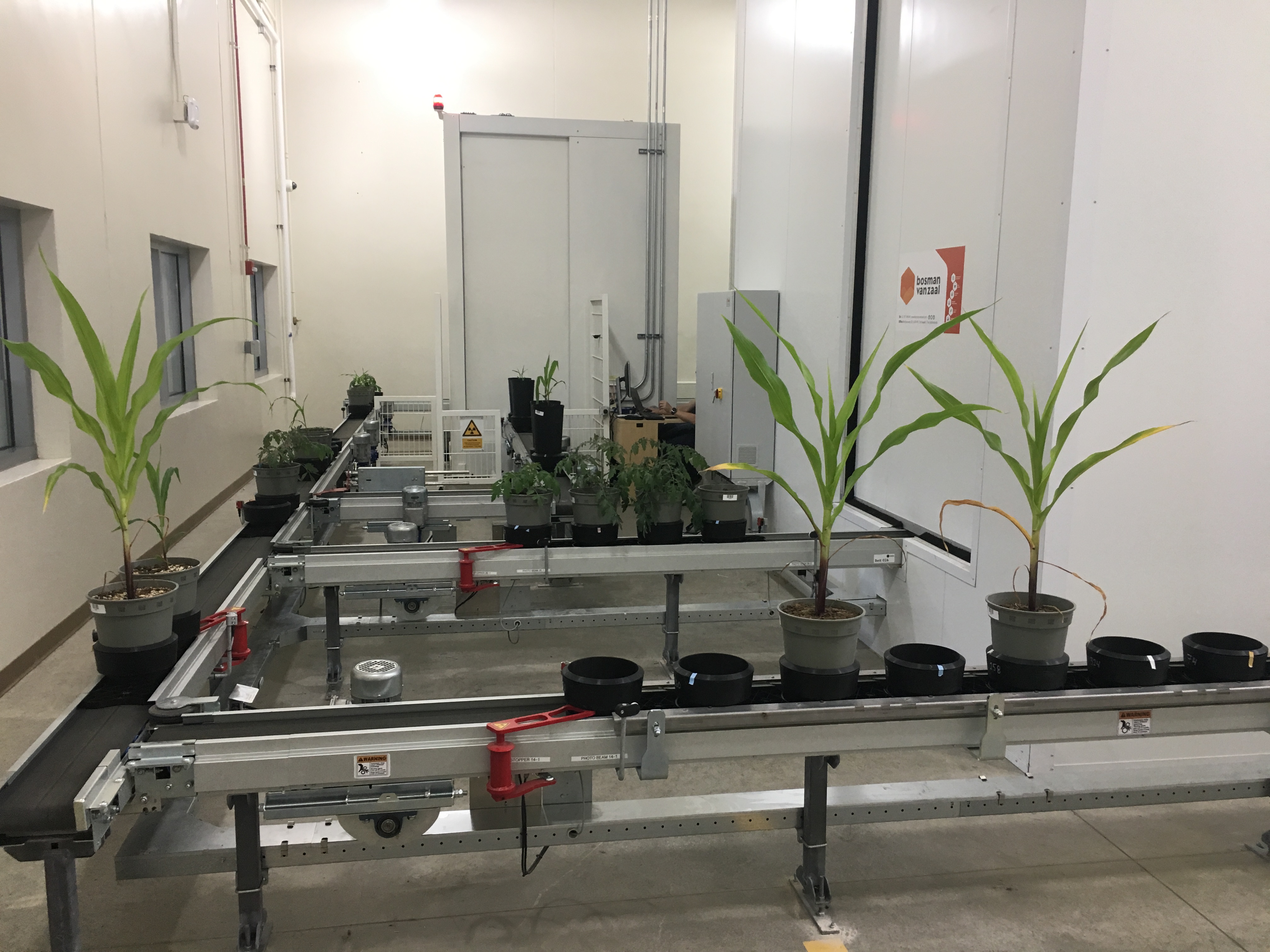 Automated plant propagation - PhenoKey