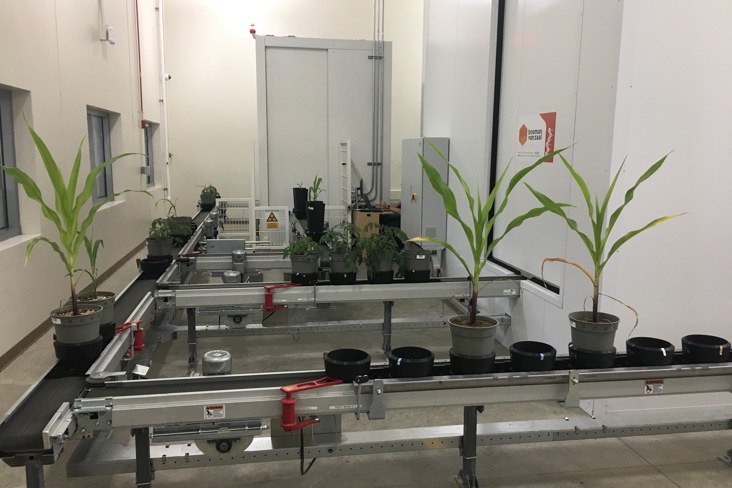 Automated plant propagation - PhenoKey