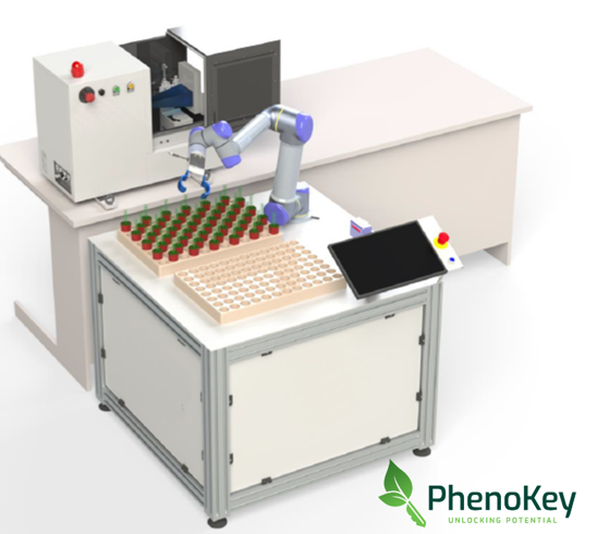 Non destructive root imaging - PhenoKey