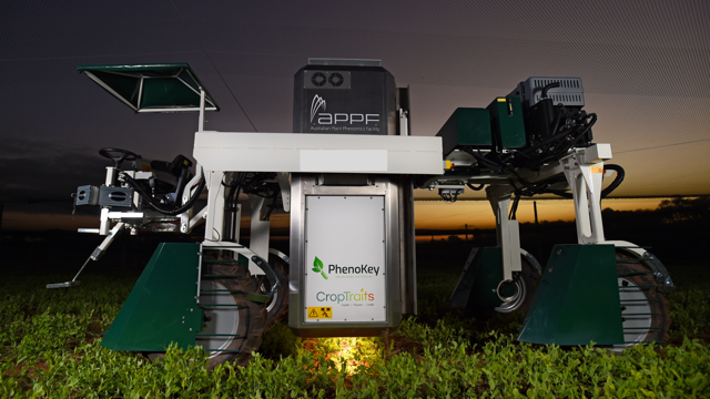 Rover based field phenotyping - PhenoKey